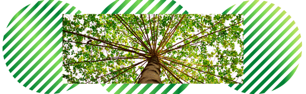 Introduction to Systems Thinking - Earth Charter